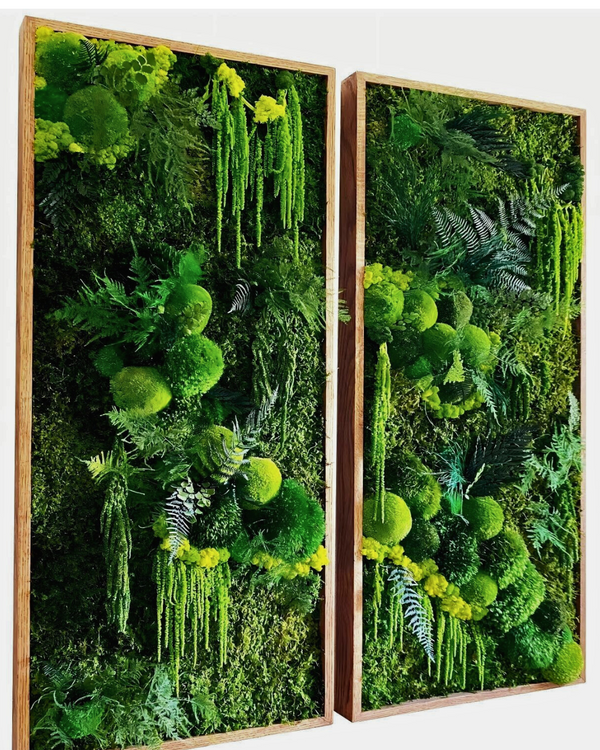 Biophilic office decor Austin